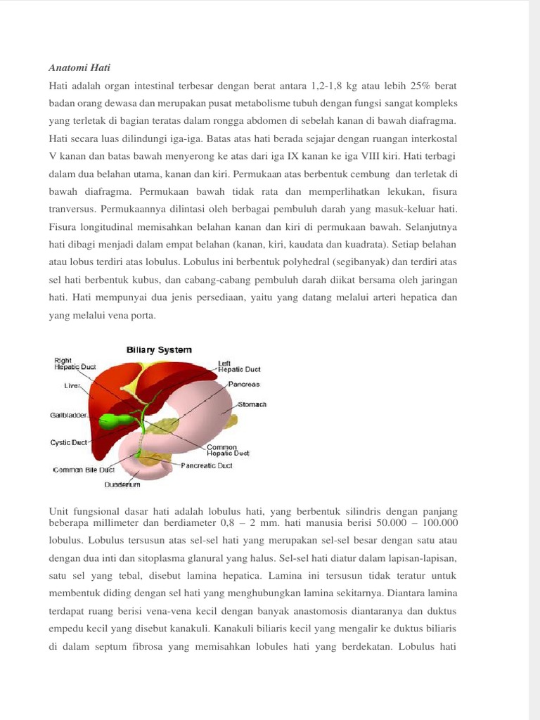 Struktur dan Fungsi Anatomi Hati | PDF