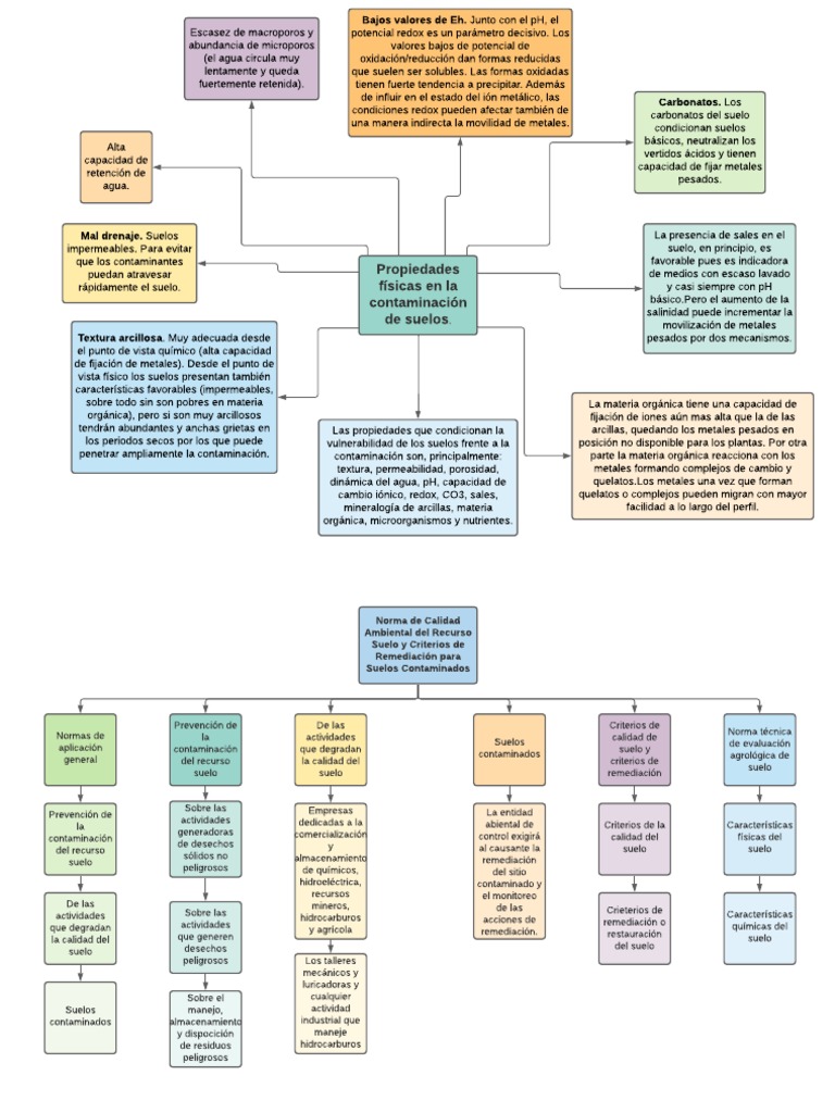 Tallerr 1-3P - Steven Espinal | PDF | Suelo | Contaminación