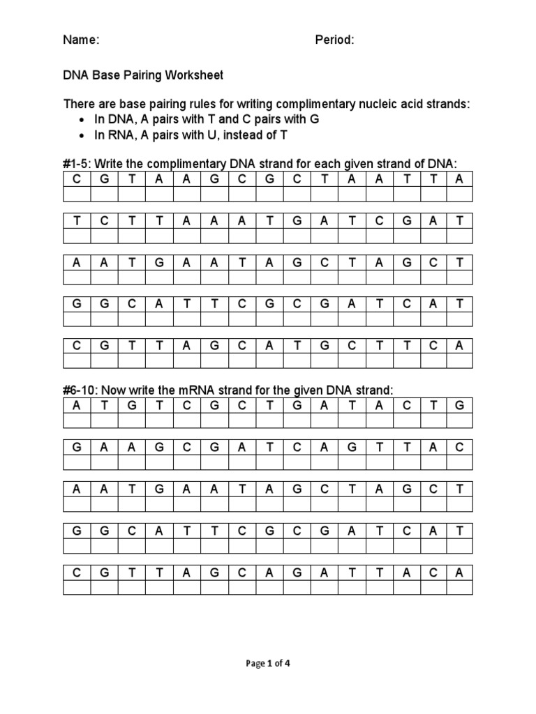 Dna Base Pairing Worksheet 1 Answer Key Dna Structure Word Search