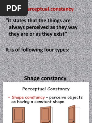 Definition Of Shape Constancy