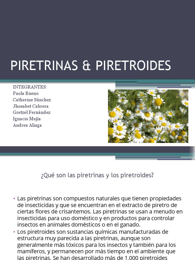 Piretinas y Piretroides: Toxicidad y Diagnóstico | PDF | Toxicología ...