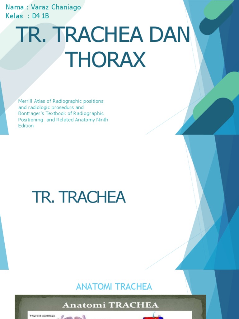 Tr. Thorax Lordotik Dan Trachea Lateral | PDF