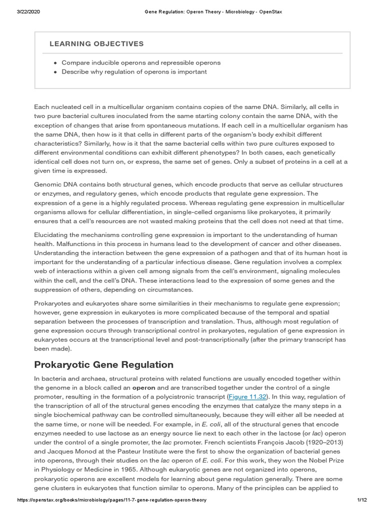 Gene Regulation - Operon Theory - Microbiology - OpenStax | PDF ...