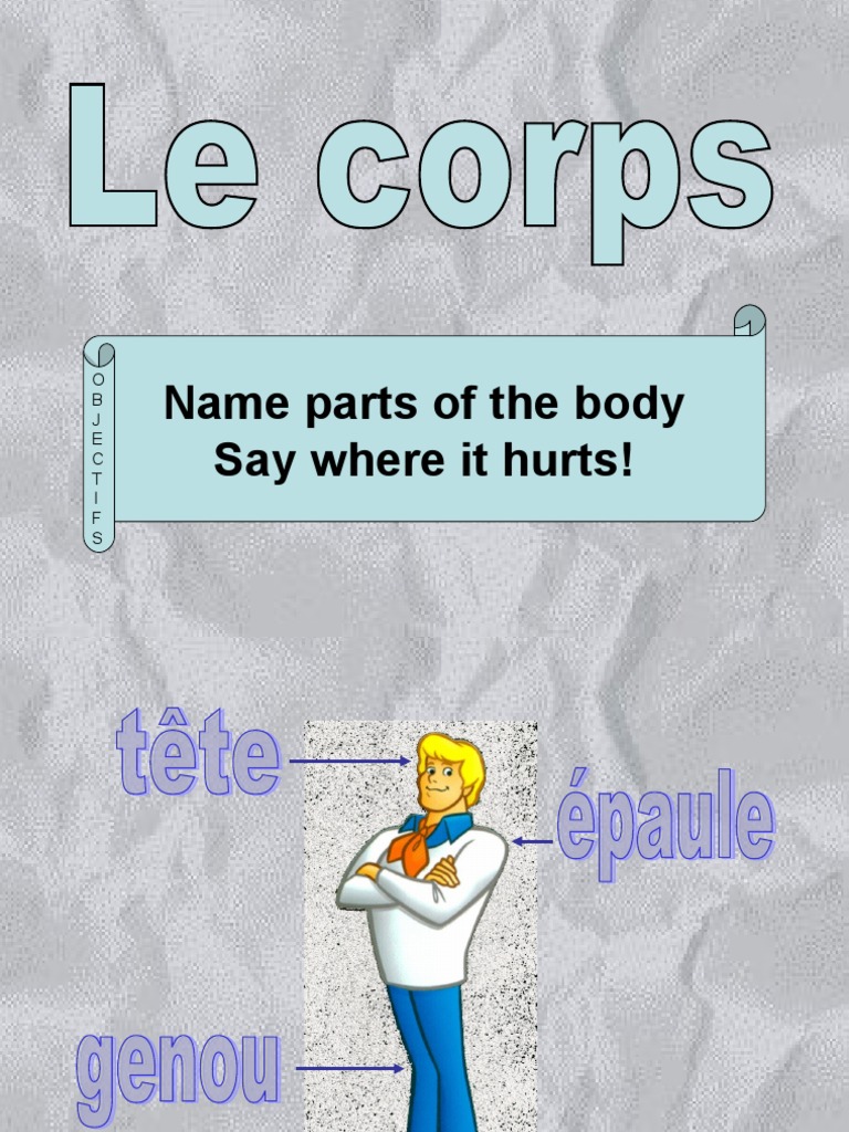 Le Corps Humain PP Comprehension Orale 103613 | PDF