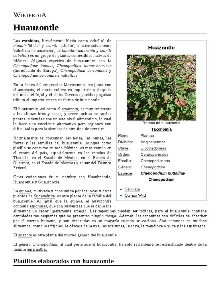 Huauzontle: Una planta comestible nativa de México con propiedades ...