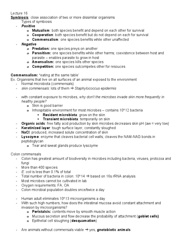 Skin Commensals: Lots of Them Staphylococcus Epidermis | PDF ...