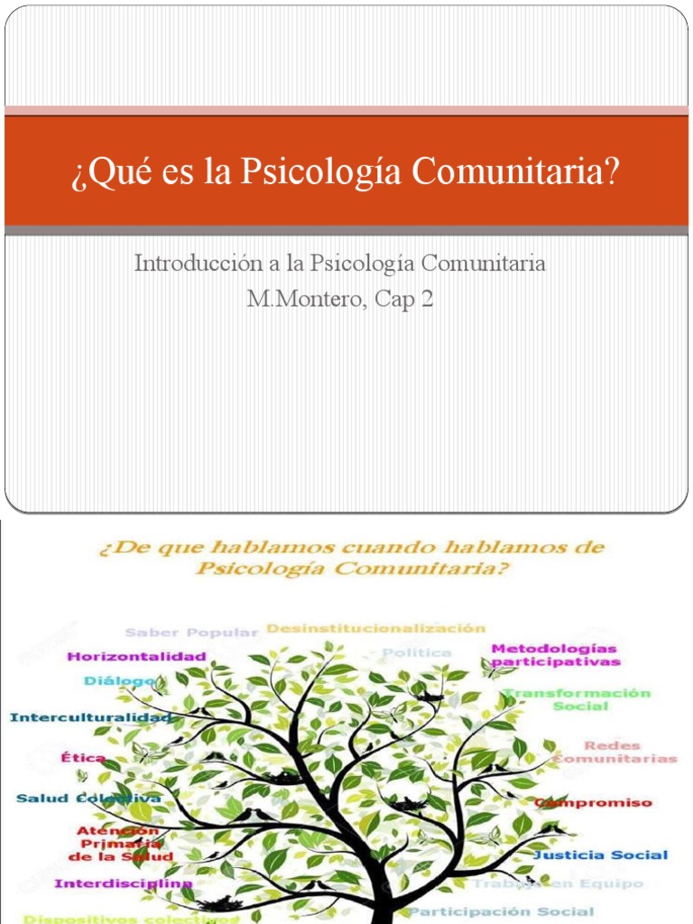 Qué Es La Psicología Comunitaria. Montero Capitulo 2 | PDF ...