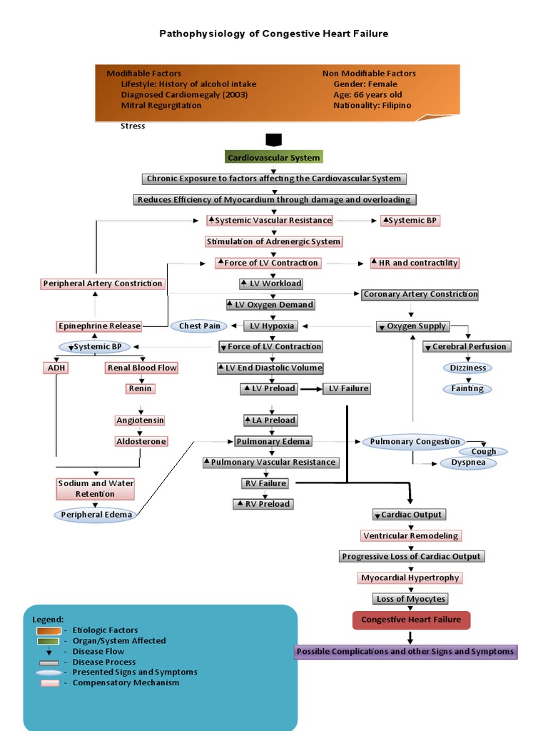 Pathophysiology of Congestive Heart Failure