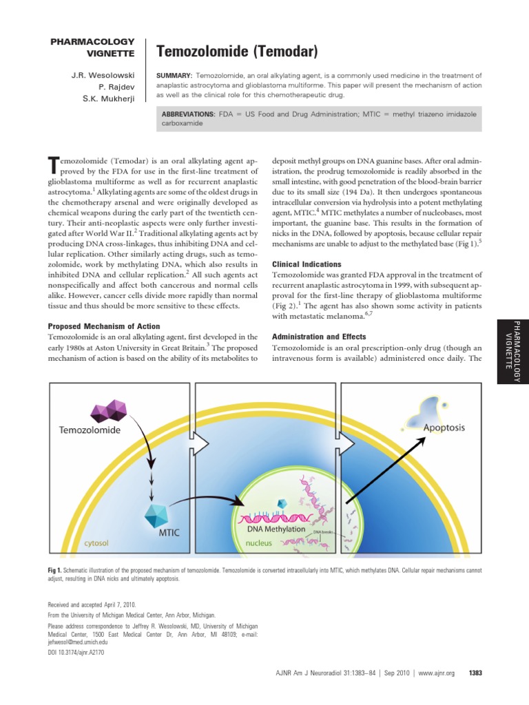 Temozolomide (Temodar) : Pharmacology Vignette | Download Free PDF ...