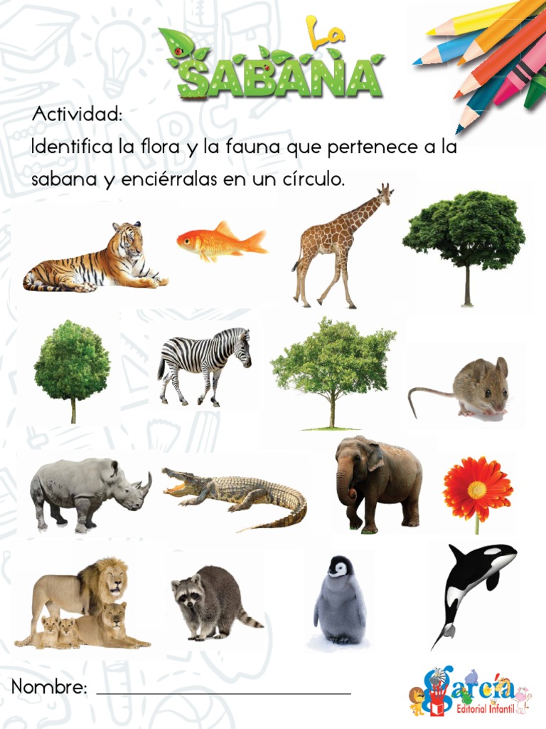 Actividades Sabana (1) - 1 | PDF | Ropa | Ecosistema