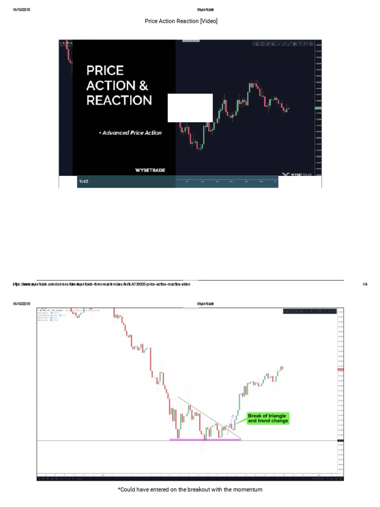 Price Action Reaction Video Guide | PDF