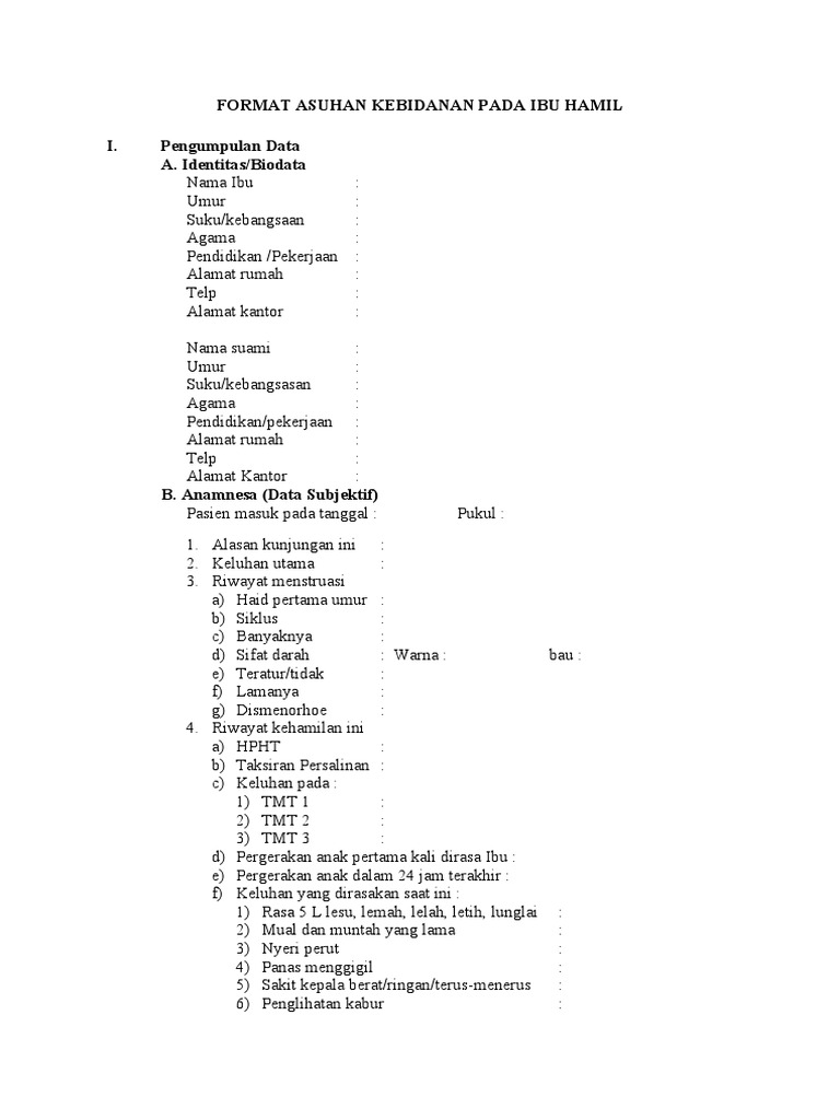Format Anc Inc BBL PNC Asuhan Kebidanan 1 | PDF | Sains & Matematika