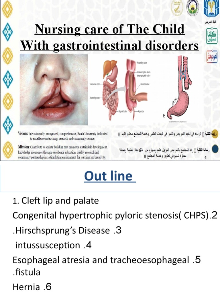 Nursing Care of The Child With Gastrointestinal Disorders | PDF ...