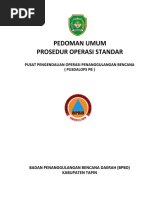 Pedoman Pusdalops-PB BNPB 2012 | PDF | Bisnis | Sains & Matematika