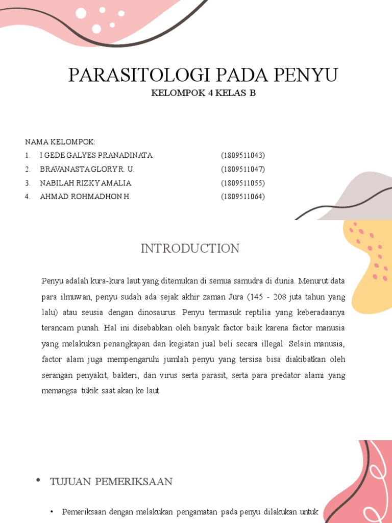 Parasit Teritip pada Penyu Hijau | PDF