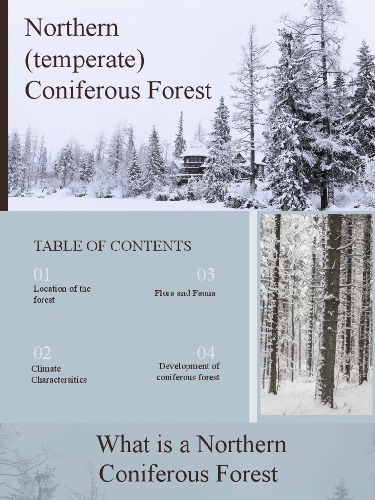 Northern Coniferous Forest Overview | PDF | Forests | Physical Geography