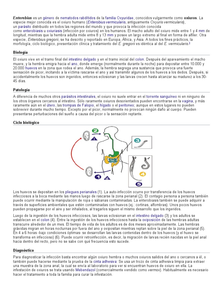 Oxiuros | PDF | Especialidades Medicas | Medicina CLINICA