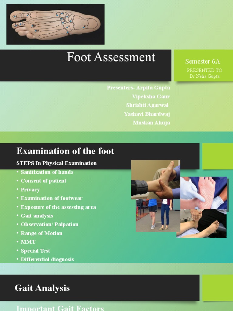 Foot Assessment | PDF | Toe | Foot