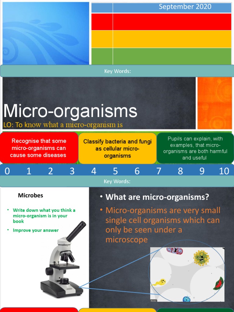 Micro-Organisms: LO: To Know What A Micro-Organism Is | PDF ...