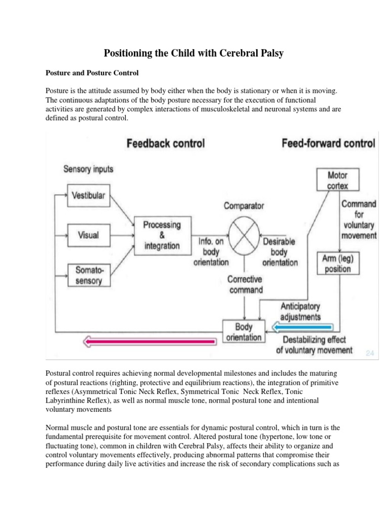 Positioning Child Cerebral Palsy Posture Control | PDF | Cerebral Palsy ...