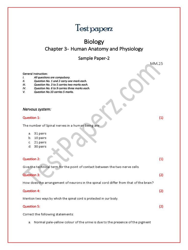 Human Anatomy and Physiology Quiz | PDF | Spinal Cord | Endocrine System