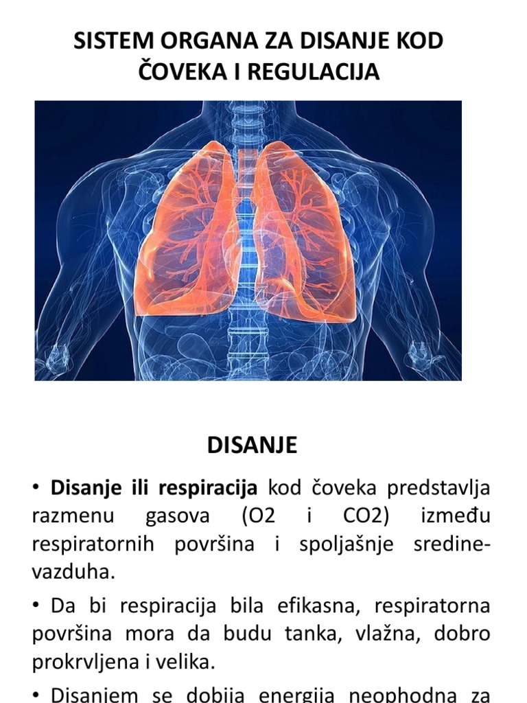 Sistem Organa Za Disanje | PDF