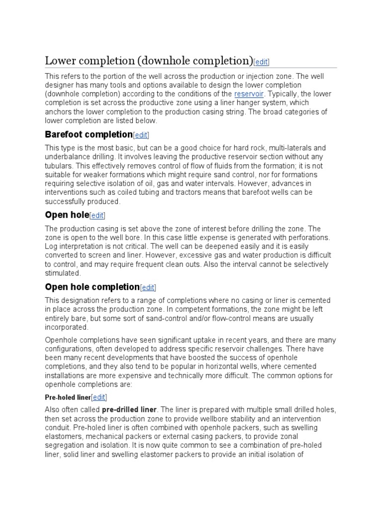 Lower Completion 1 | PDF | Casing (Borehole) | Industrial Processes
