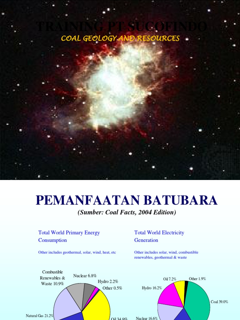 Coal Geology and Resources | PDF | Coal | Hydrocarbons