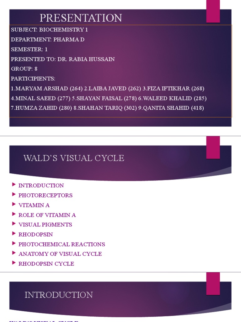 Wald's Visual Cycle & Vitamin A | PDF | Retinal | Retina