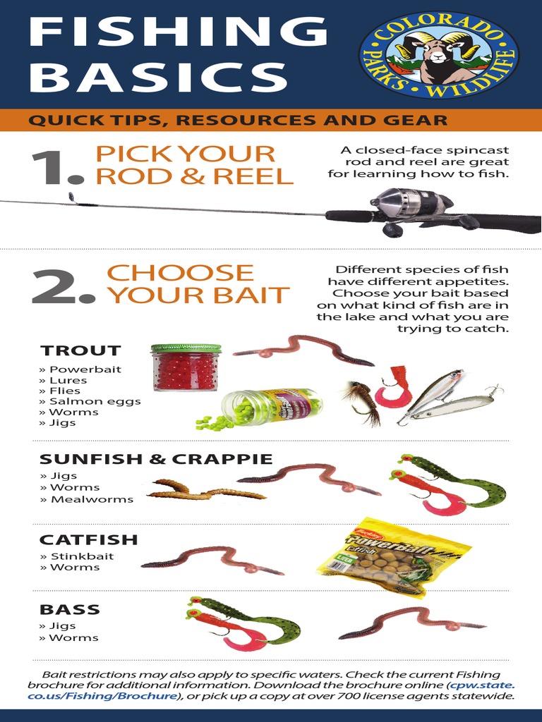 Get Started Fishing | PDF | Angling | Fish