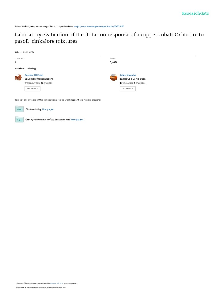 Copper-Cobalt Flotation with Rinkalore | PDF | Cobalt | Copper