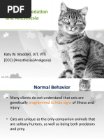 Kitty Magic | PDF | Anesthesia | Surgery