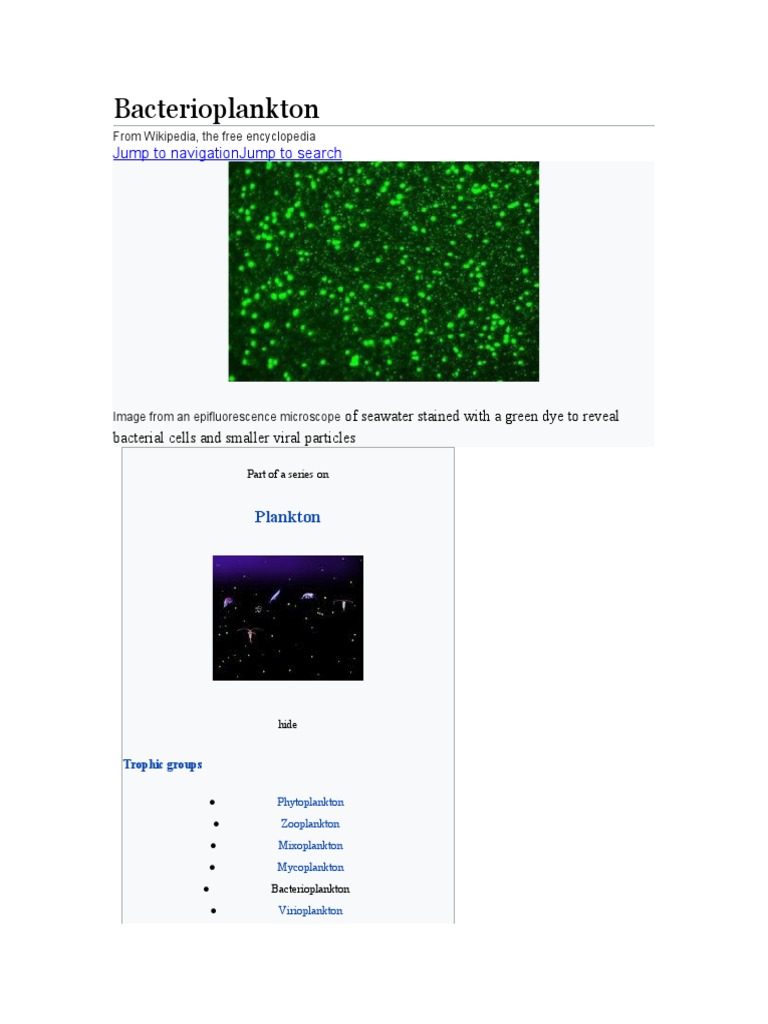 Bacterio Plankton | Download Free PDF | Hydrography | Symbiosis