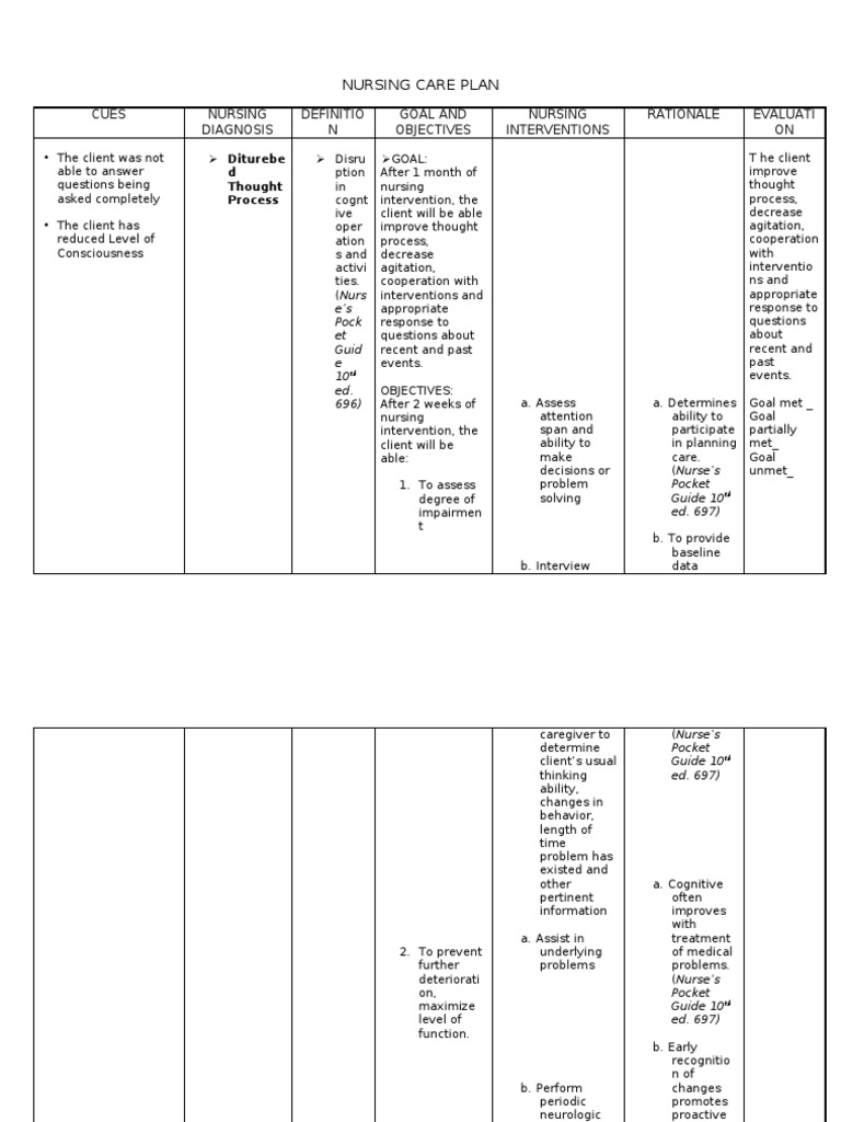Nursing Care Plan for Disturbed Thought Process | PDF | Coping ...