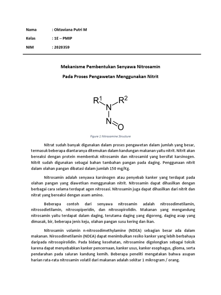 Mekanisme Pembentukan Nitrosamin | PDF | Kesehatan Holistik | Sains ...