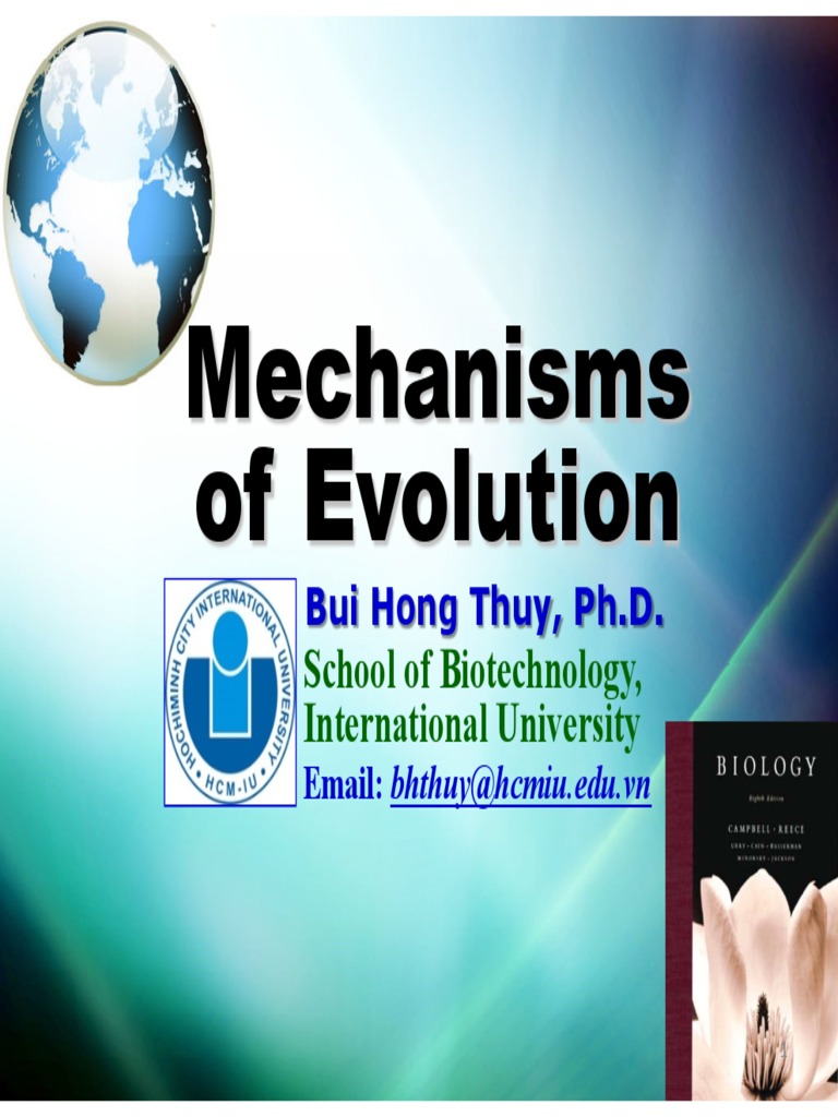 Lecture 8. Mechanisms of Evolution | PDF | Natural Selection | Ploidy