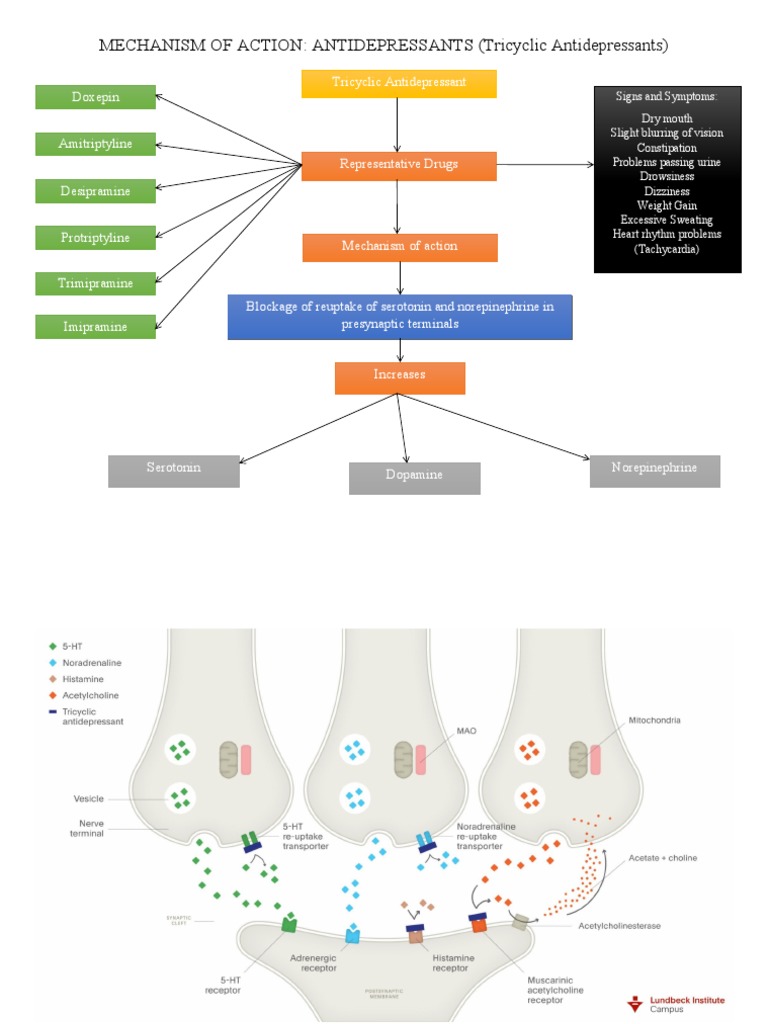 MECHANISM OF ACTION: ANTIDEPRESSANTS (Tricyclic Antidepressants) | PDF
