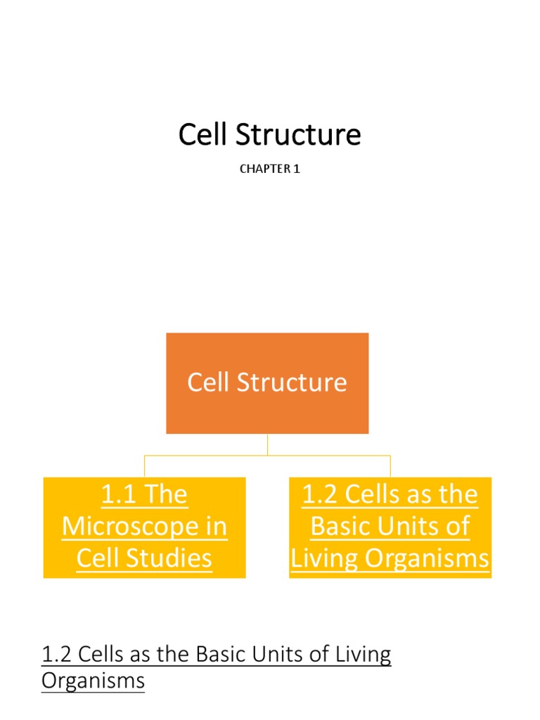 As Level Chapter 1 Cell Structure | PDF | Cell (Biology) | Endoplasmic ...