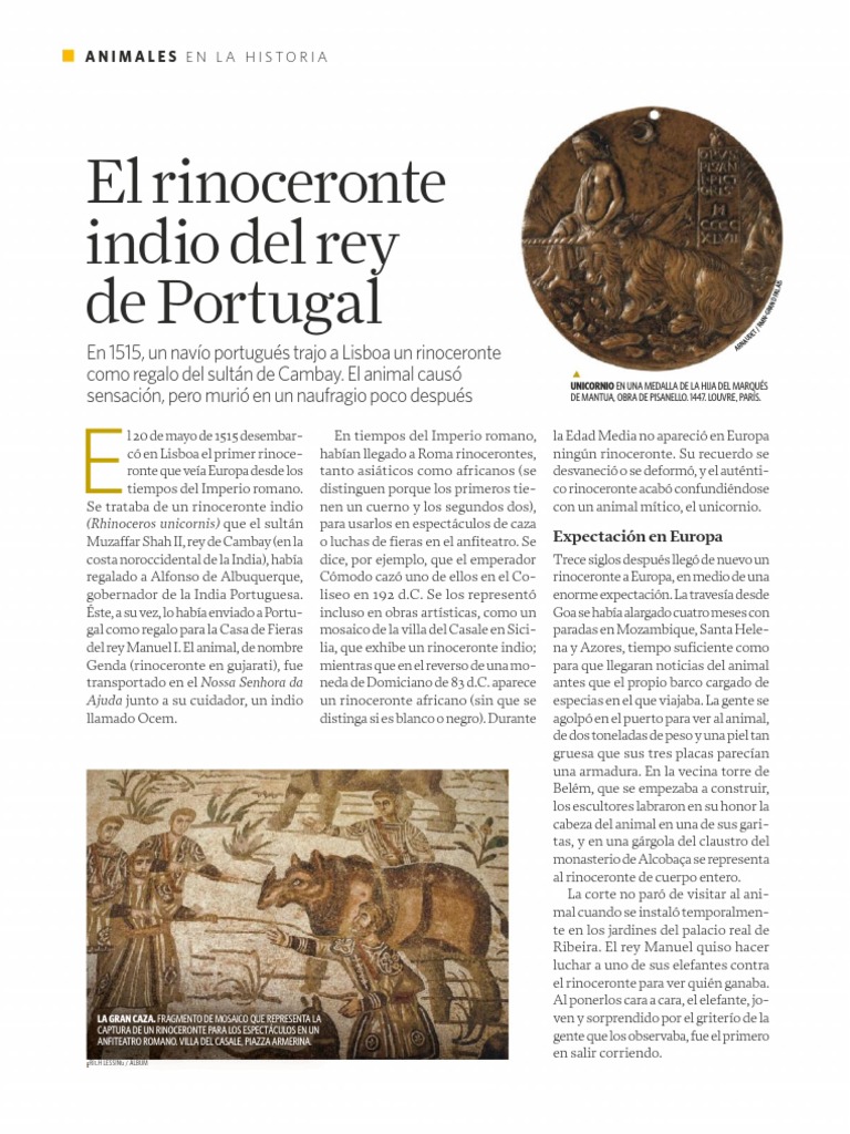 El Rinoceronte Indio Del Rey de Portugal | PDF | Rinoceronte ...