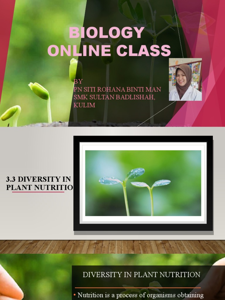 Bio - F5 - KSSM - Chapter 3 - 3.3 - Diversity in Plant Nutrition | PDF