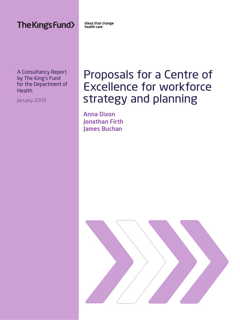 Proposals For A Centre of Excellence | PDF | National Health Service ...