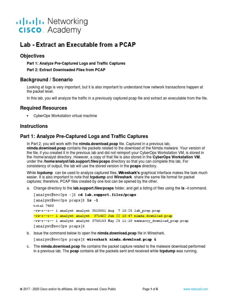 27.2.10 Lab - Extract An Executable From A Pcap | PDF | Transmission Control Protocol | Computer ...