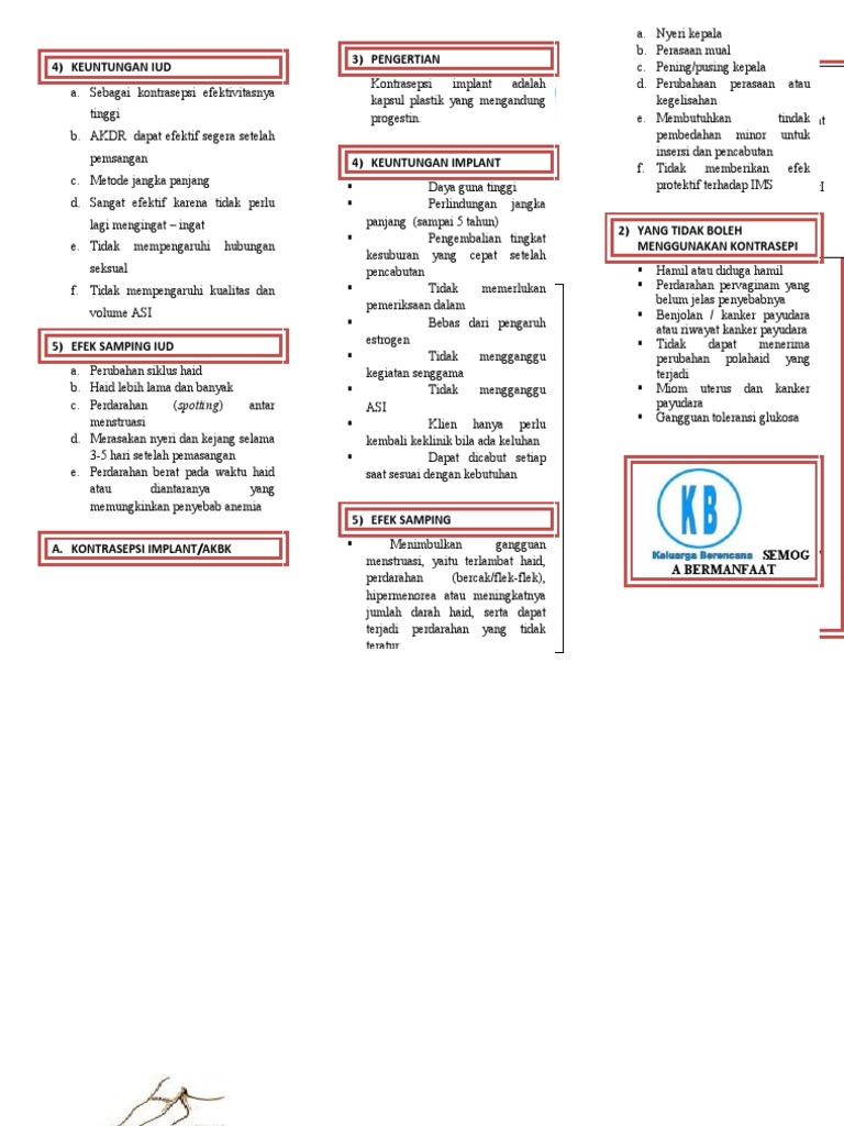 Leaflet MKJP Baru | PDF