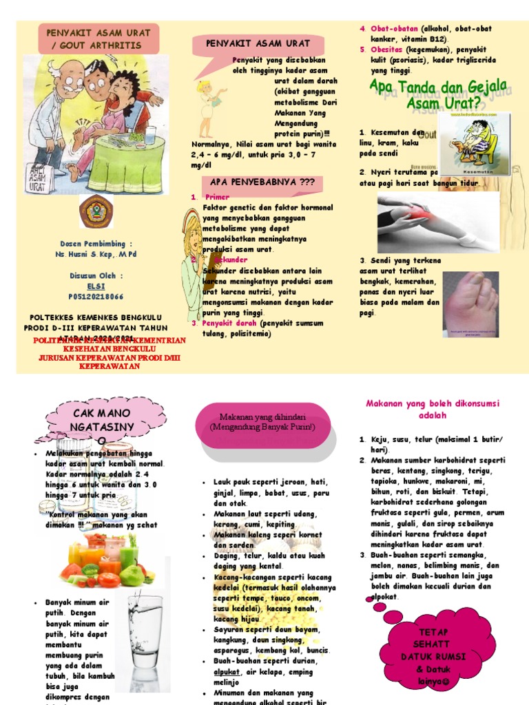 Elsi Leaflet Gout Arthritis | PDF