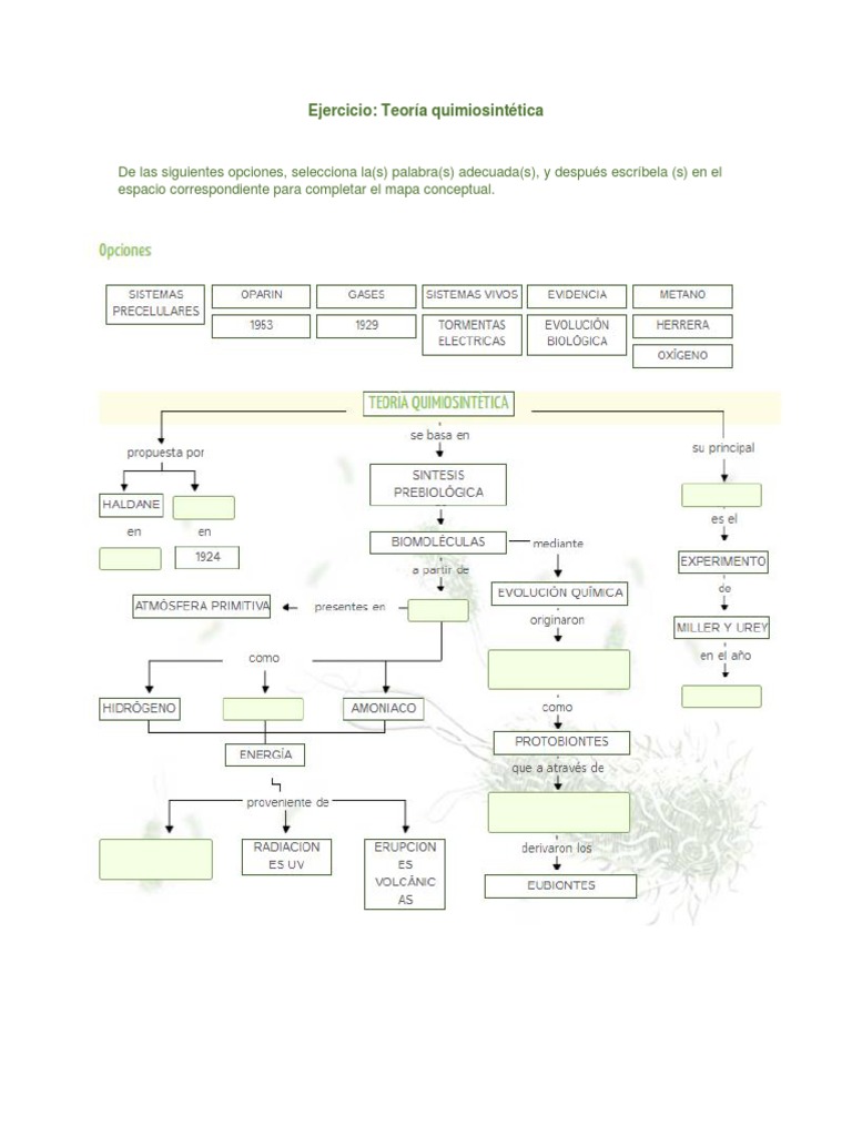 Mapa Conceptual de la Teoría Quimiosintética | PDF