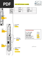 RTTS Packer: Technical Data Sheet | PDF | Pipe (Fluid Conveyance) | Valve