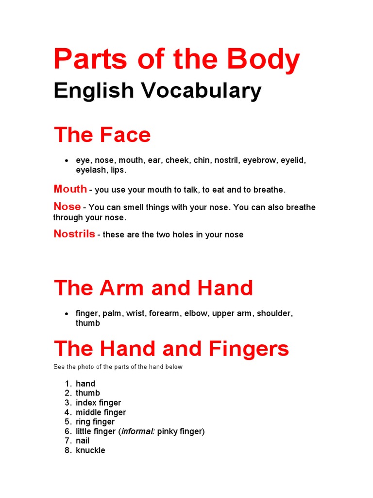 GRAMMAR Parts of The Body | PDF