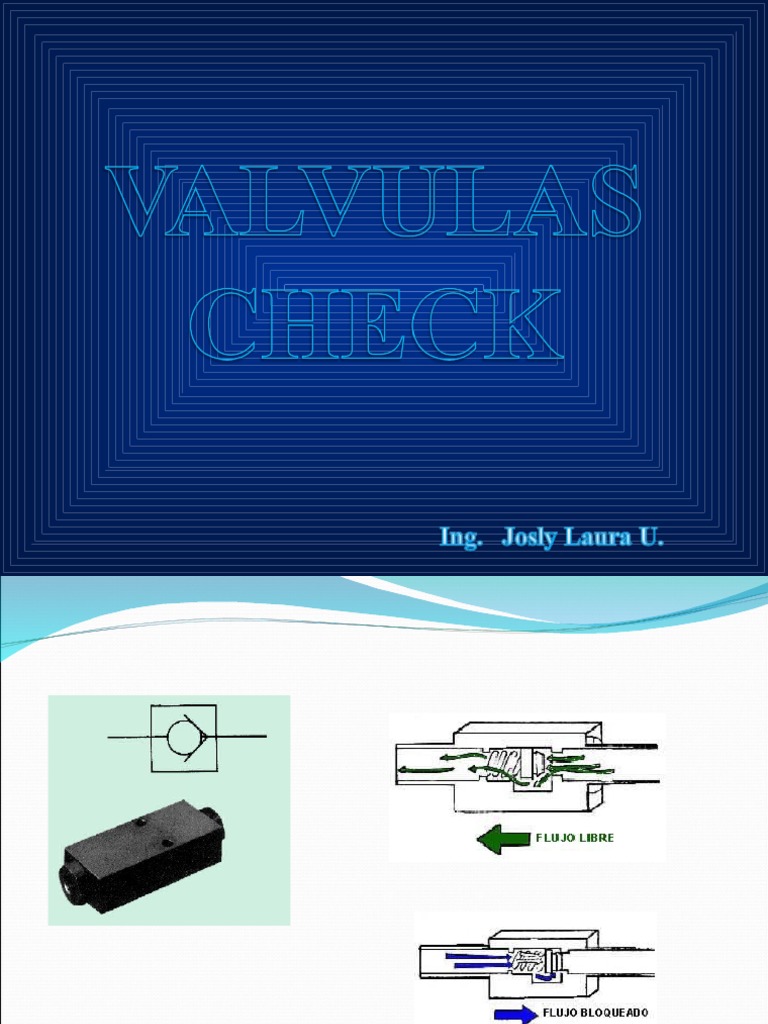 Tipos de Valvulas Check | PDF