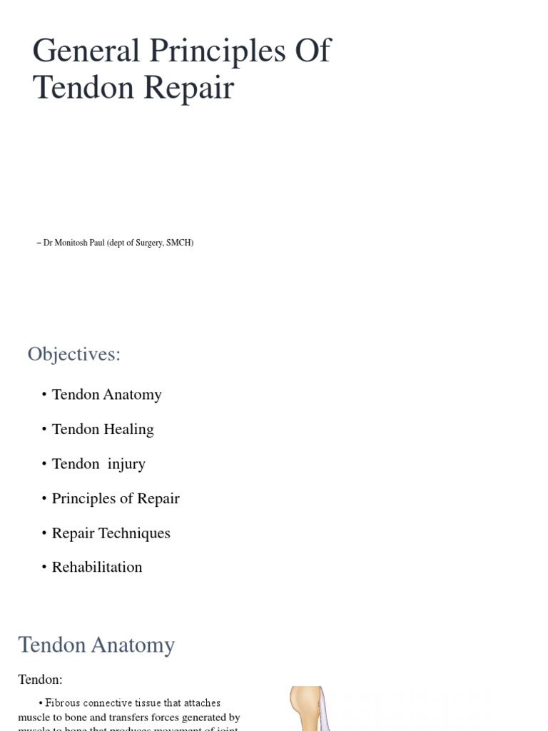 Tendon Repair Principles & Techniques | PDF | Tendon | Surgical Suture