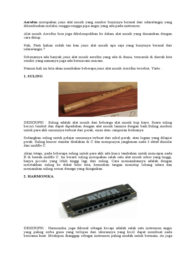 Aerofon | PDF | Seni